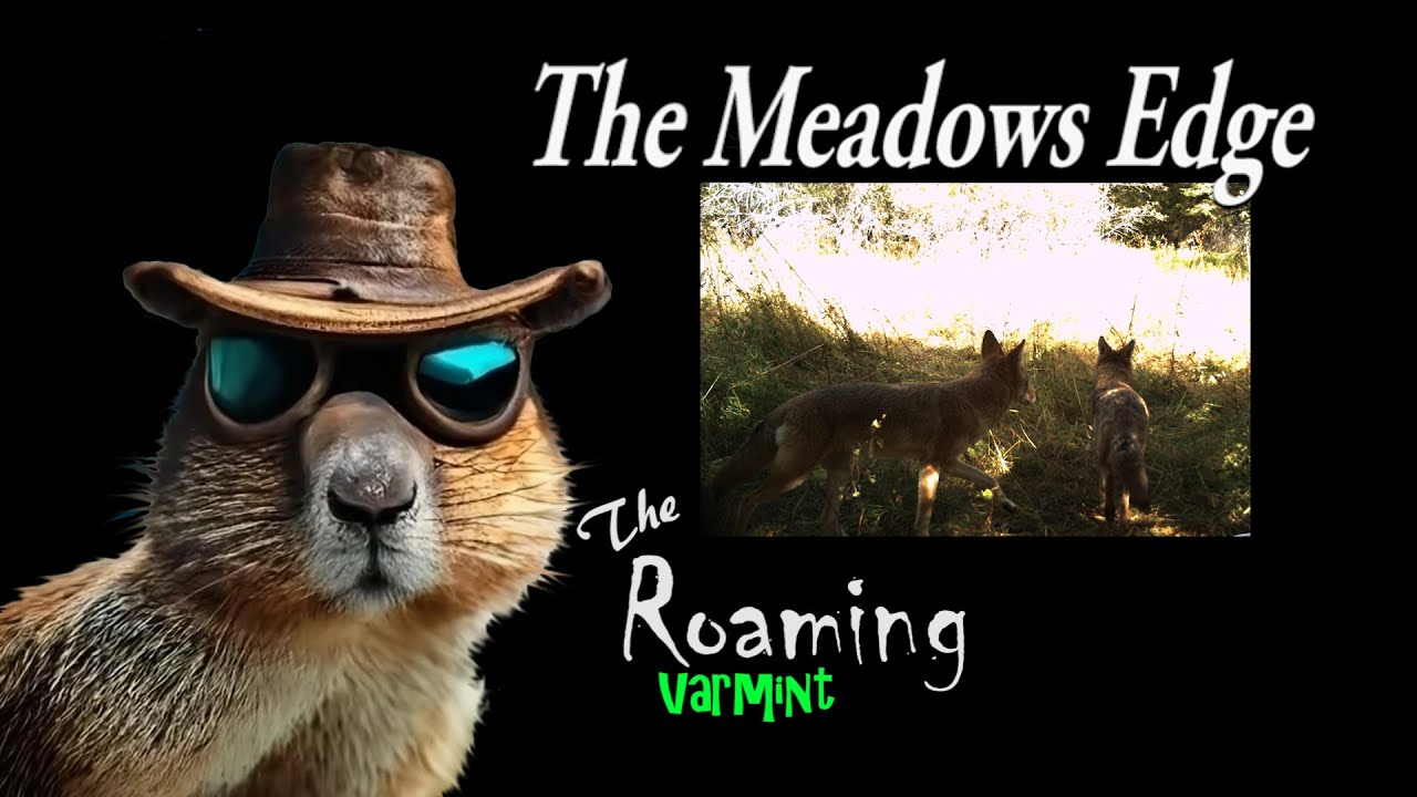 The Meadows Edge - YouTube