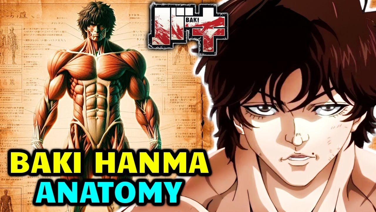 Baki Hanma Anatomy - Superhuman Durability, Techniques & The Legendary ...