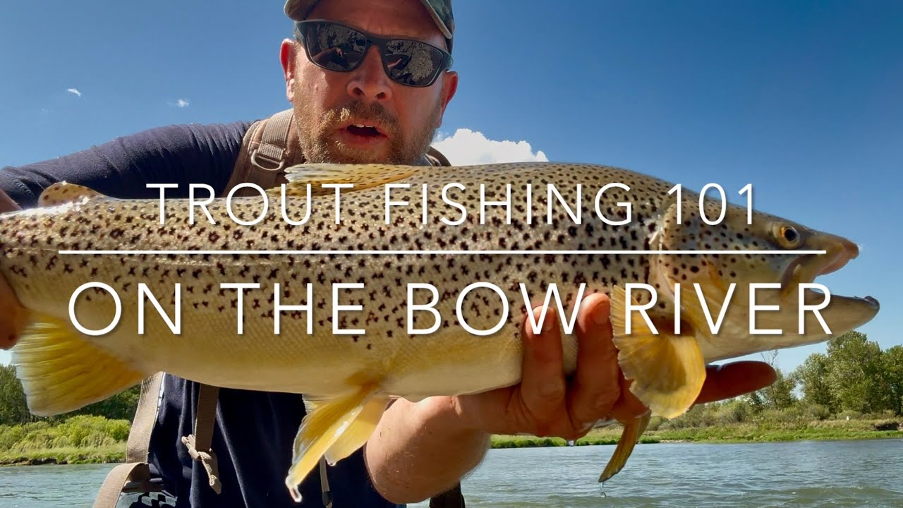 Bow River Fishing: Your Guide To Success! - YouTube