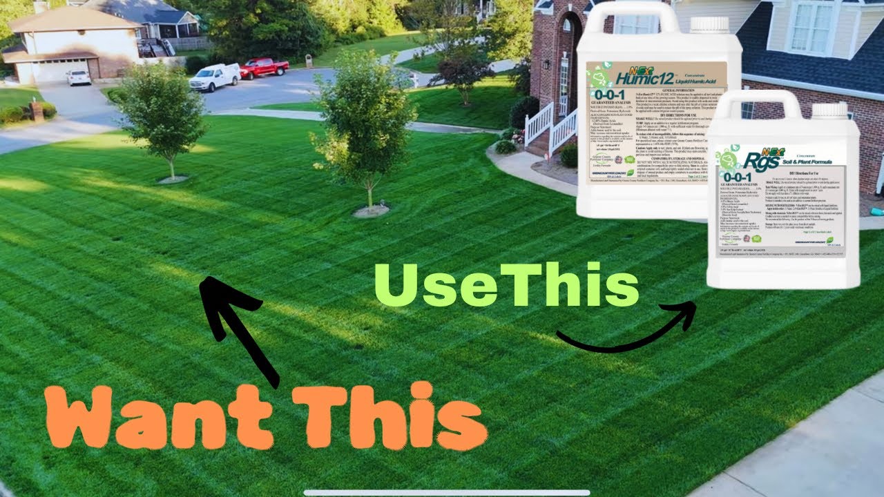 A simple SECRET to a GREAT looking lawn | DIY Lawn Coach - YouTube