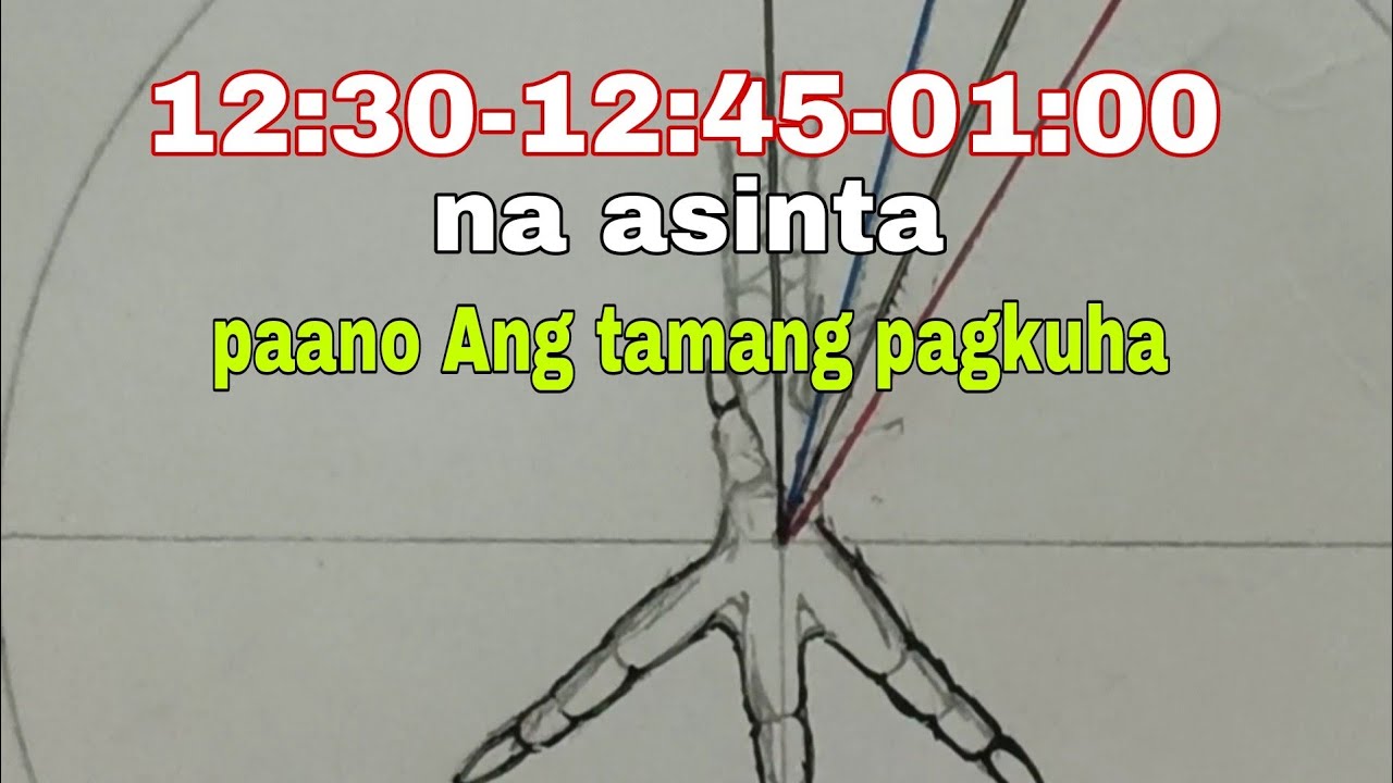 Watch the illustration/Pagkuha ng tamang asinta sa isang manok 12:00-12 ...