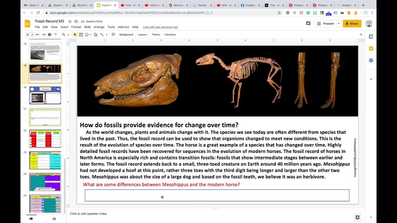 Analyzing the Fossil Record NGSS MS-LS4-1 - YouTube