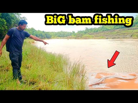 Bam Fishing || Village Hook Fishing || Float Fishing || Fishing video ...