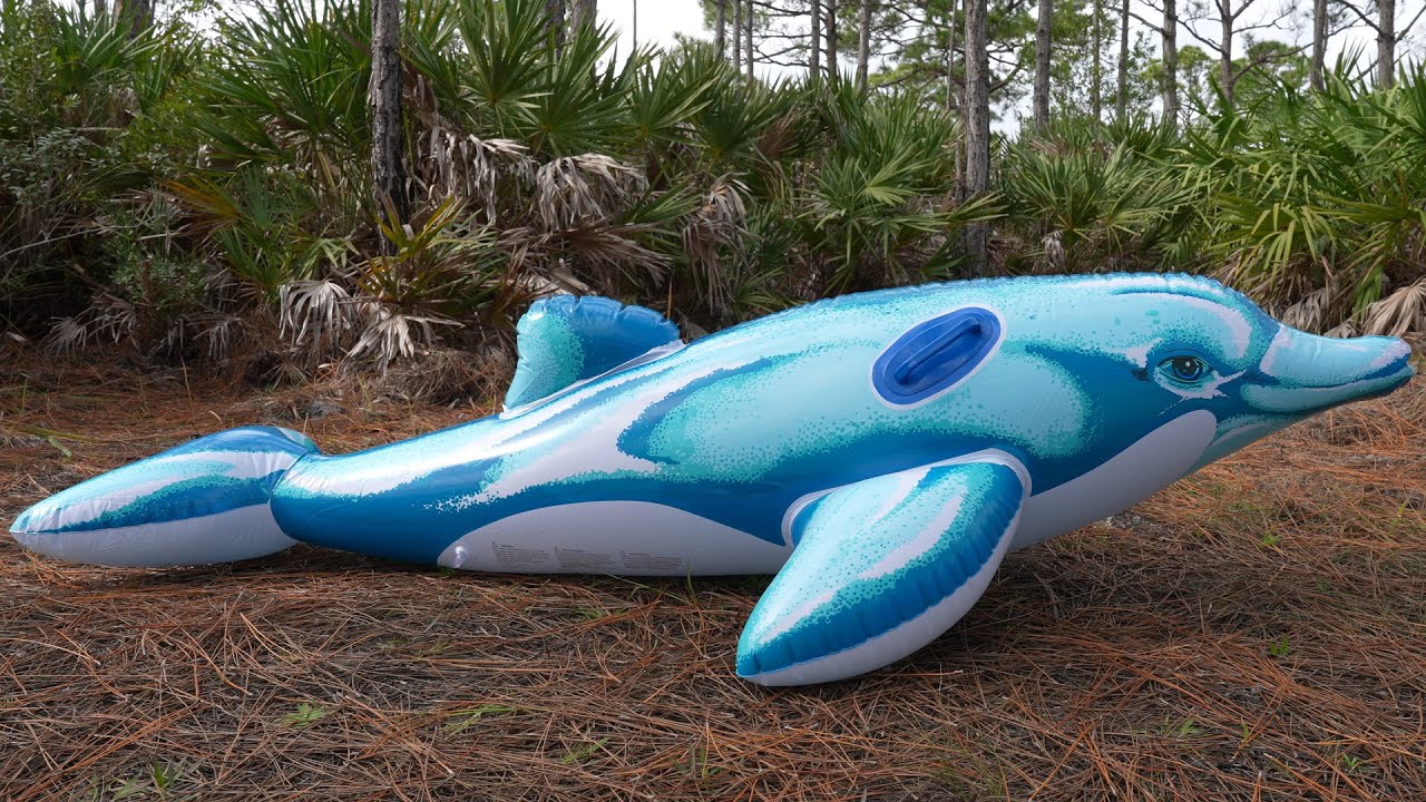 Blue Dolphin Ride-On Pool Float from Swimline - YouTube