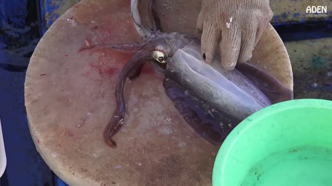 Cleaning Cuttlefish - Hong Kong Seafood Market - YouTube