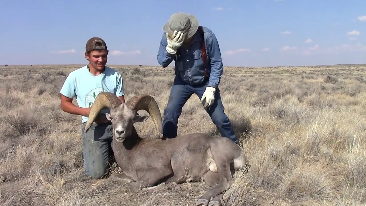 California bighorn hunt 2018 with outfitter Travis Bullock. - YouTube