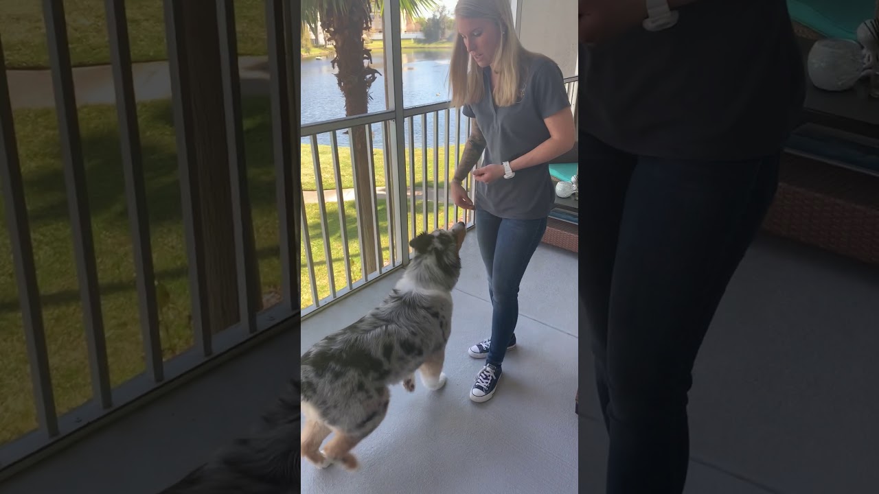 Sit Pretty - YouTube