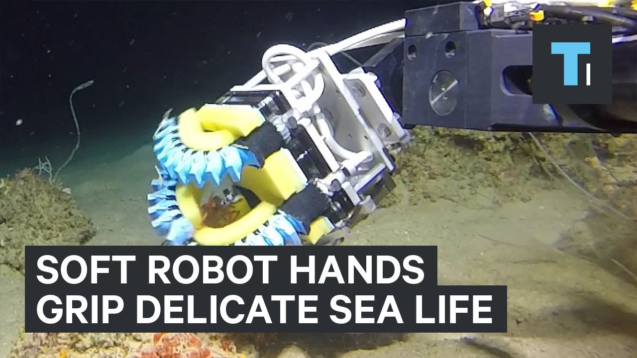 These Harvard-designed underwater robots have advanced, squishy hands ...