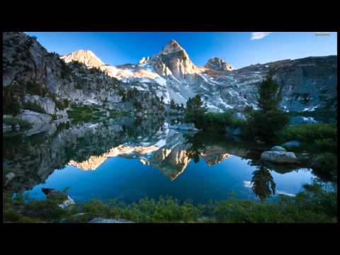 Peter Jennison: Reflection