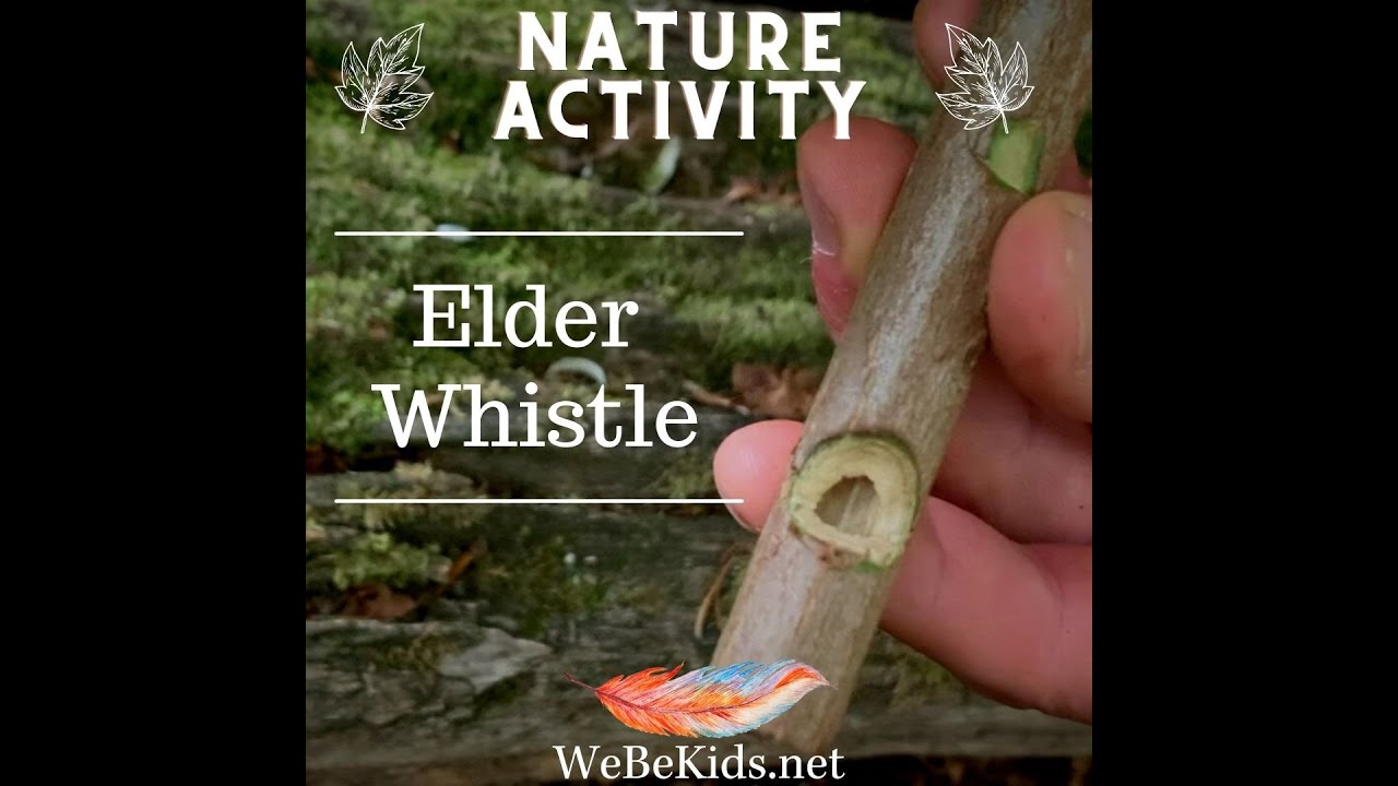 Make an Elder Whistle | We Be Kids