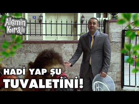 Aslan, deve Ferruh'u ikna etmeye çalışıyor! - Alemin Kralı 9. Bölüm