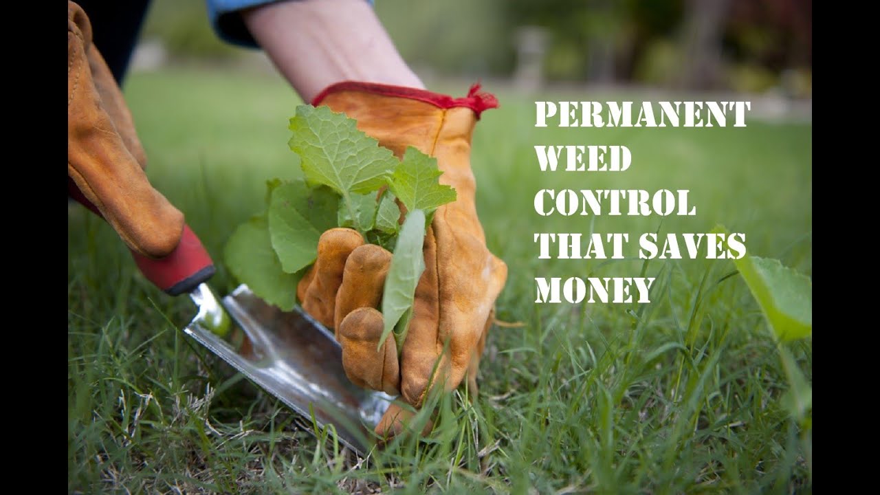 Permanent Weed Control - YouTube