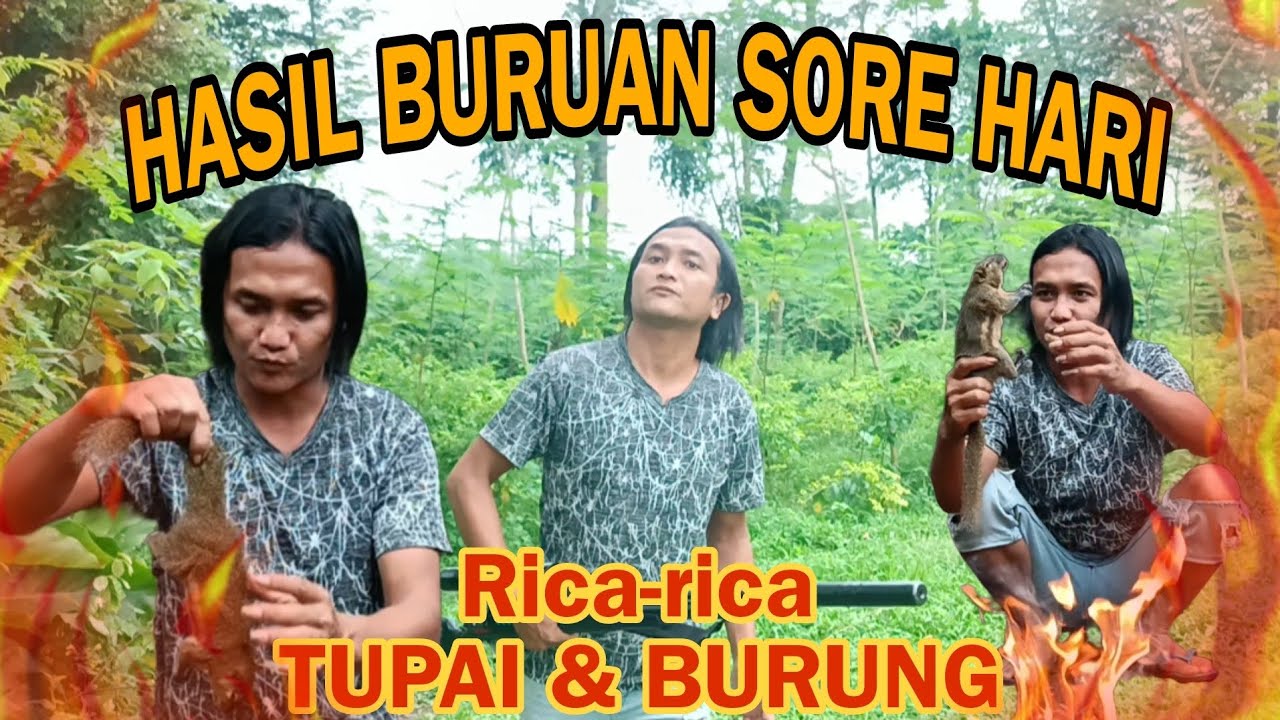 BERBURU HEWAN HAMA PETANI // RICA-RICA TUPAI - YouTube