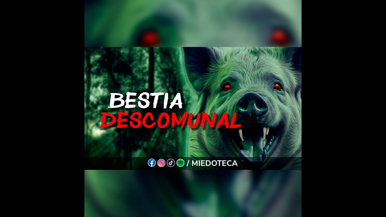 La Mano Peluda (UNPLUGGED) Bestia descomunal / 2630 - YouTube