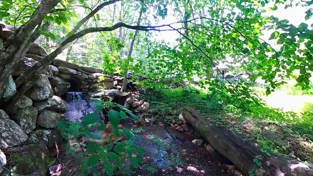 Skate Farm 2019 - Around Skate Farm - YouTube