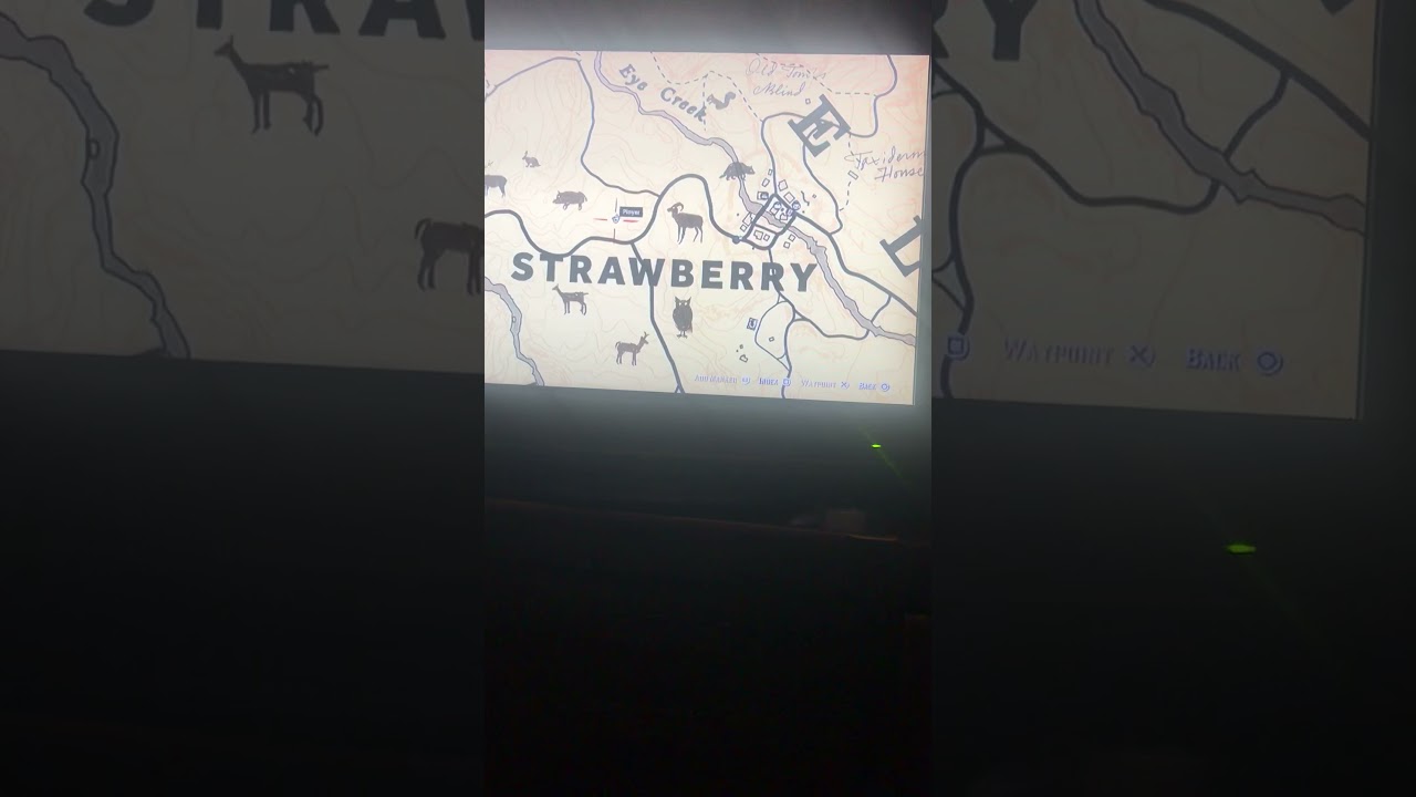 Strawberry the town rdr2 - YouTube