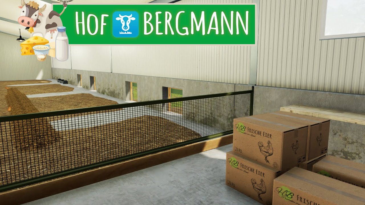 LS22 HOF BERGMANN #69: Frische Eier von der Hühnerzucht | FARMING ...