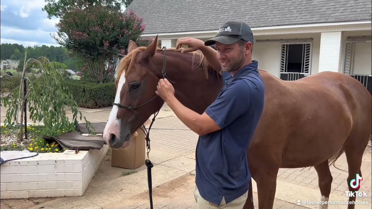 How To Tie Rope Halter - YouTube