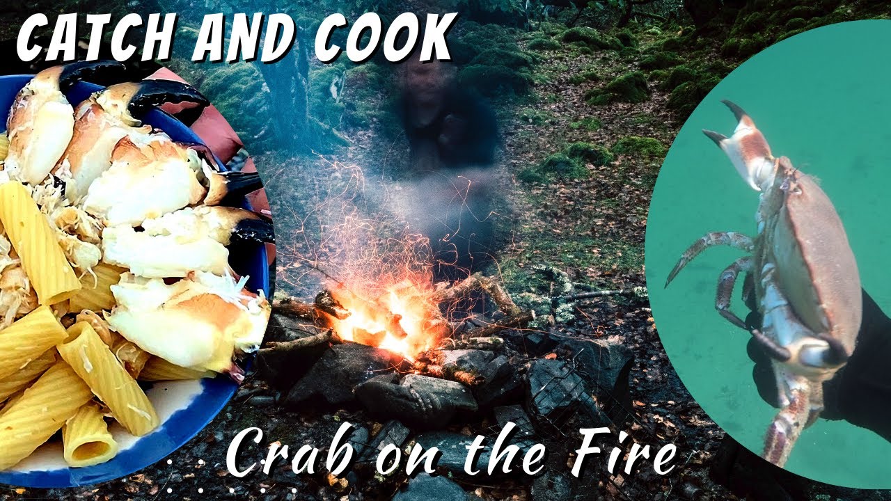 Scotland Winter Dive Catch and Cook.. With a Twist 3/3 - YouTube