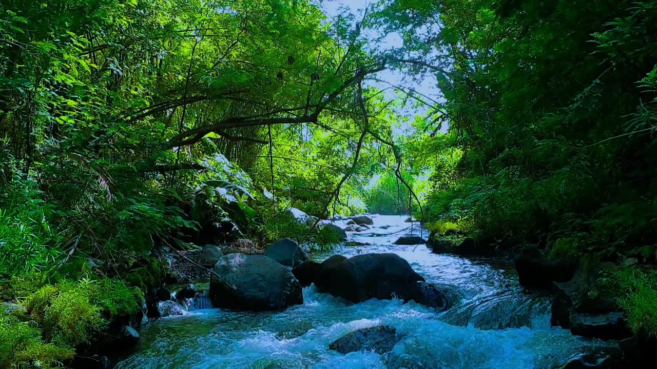 Relaxing River Sound the water flows calmly, a peaceful atmosphere for ...