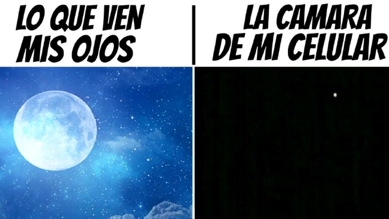 + DE HORA Y MEDIA DE MEMES VARIADOS - YouTube
