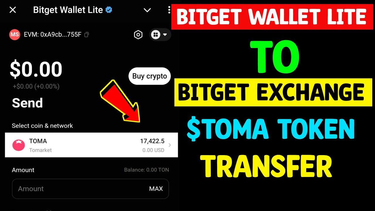 Transfer Toma Token From Bitget Wallet Lite To Bitget Exchange | Toma ...