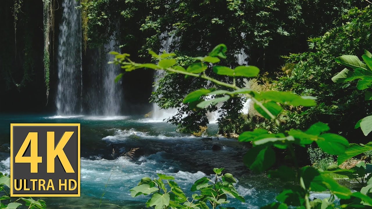 4K Video - Recharge Your Mind and Body: A Journey Through the Tranquil ...