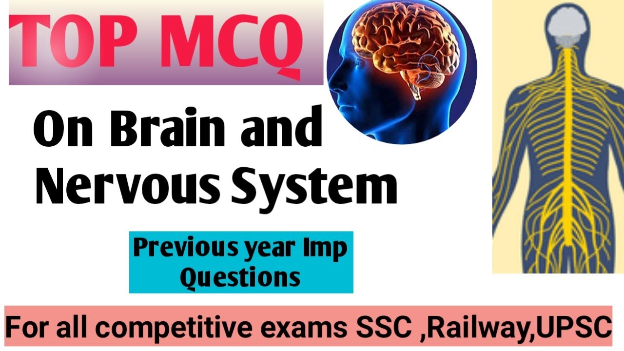 Nervous system/Human brain/Questions and Answers - YouTube