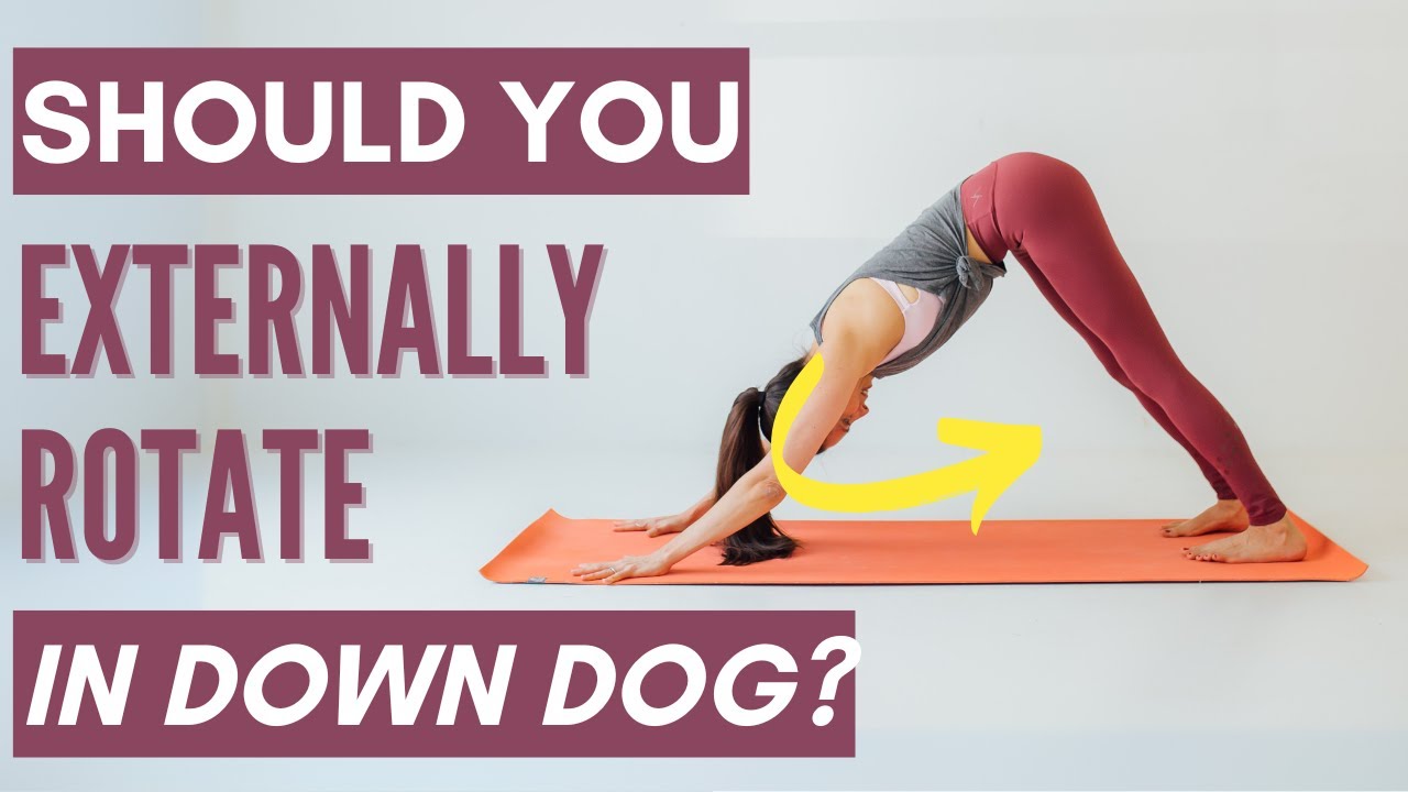 Should You Externally Rotate Your Shoulders in Downward Dog? - YouTube