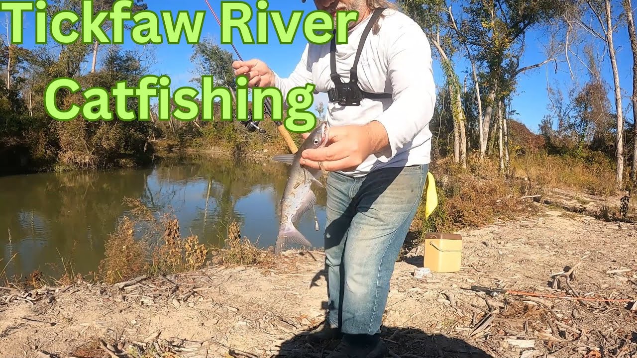 Tickfaw River Catfishing - YouTube