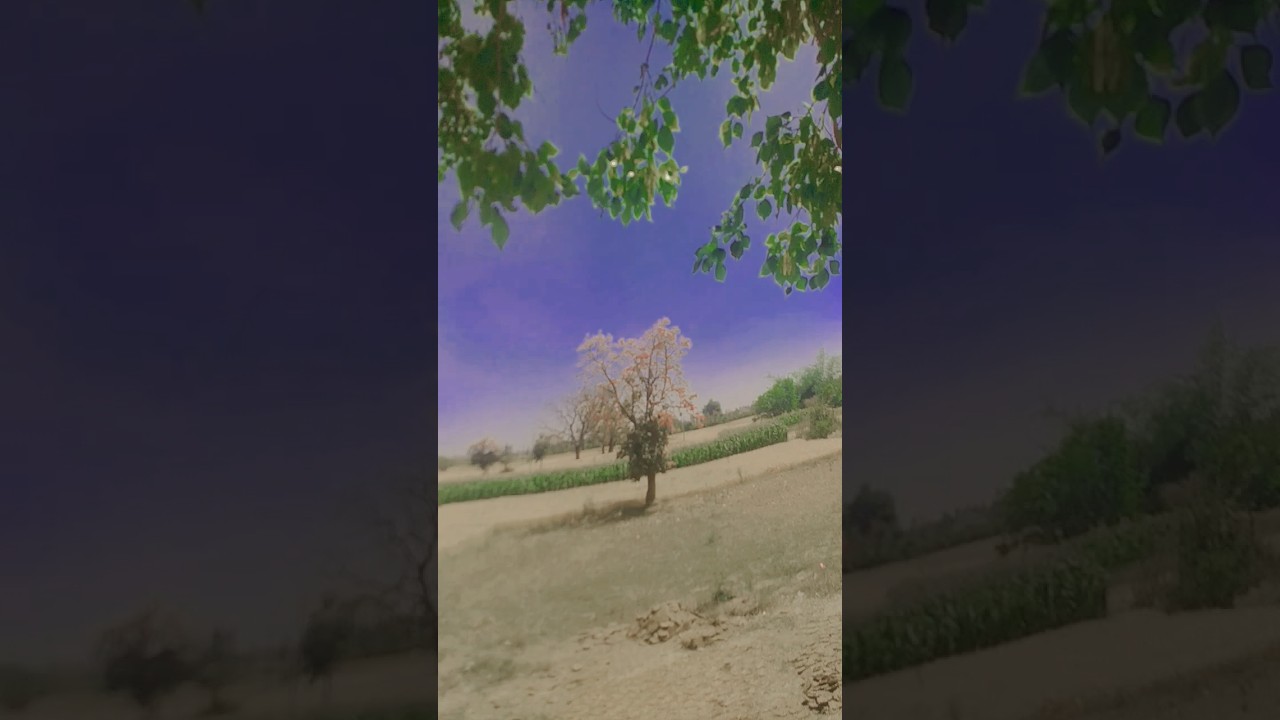 March 30, 2025 - YouTube