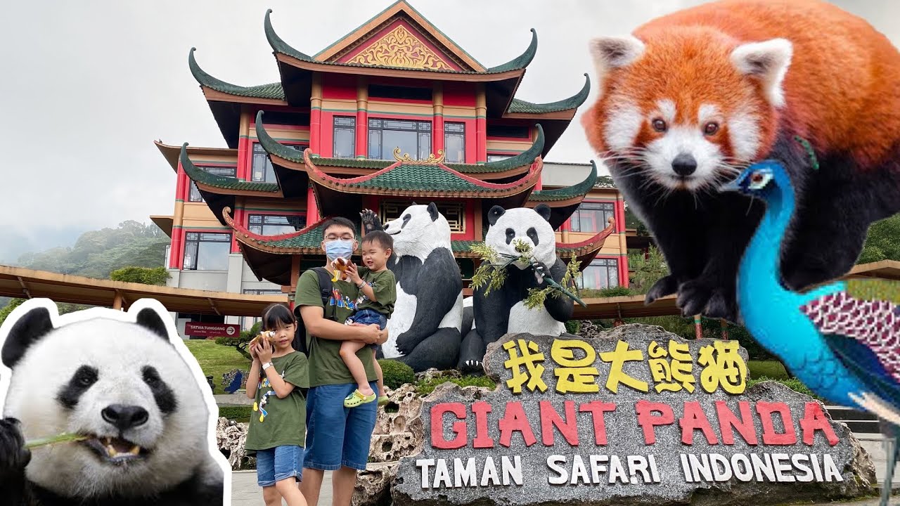 Taman Safari Bogor | Taman Safari Indonesia | Istana Panda - YouTube