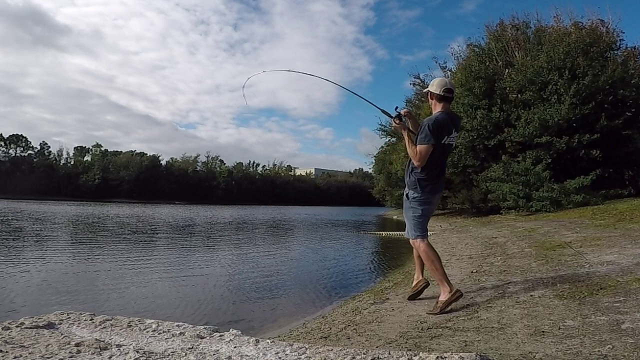 Epic Hook Set on Baby Largemouth Bass - YouTube