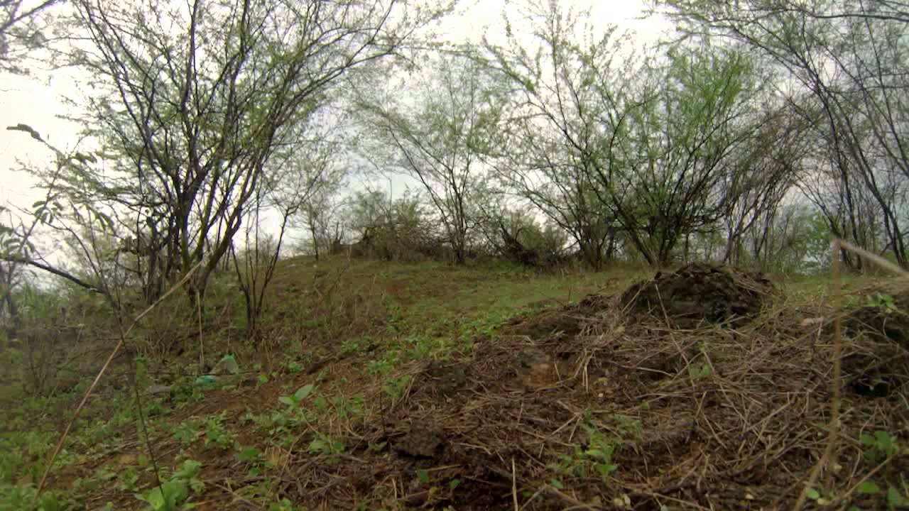 CAMINATA A LA LOMA DE LA CRUZ EN TEPAMES - YouTube