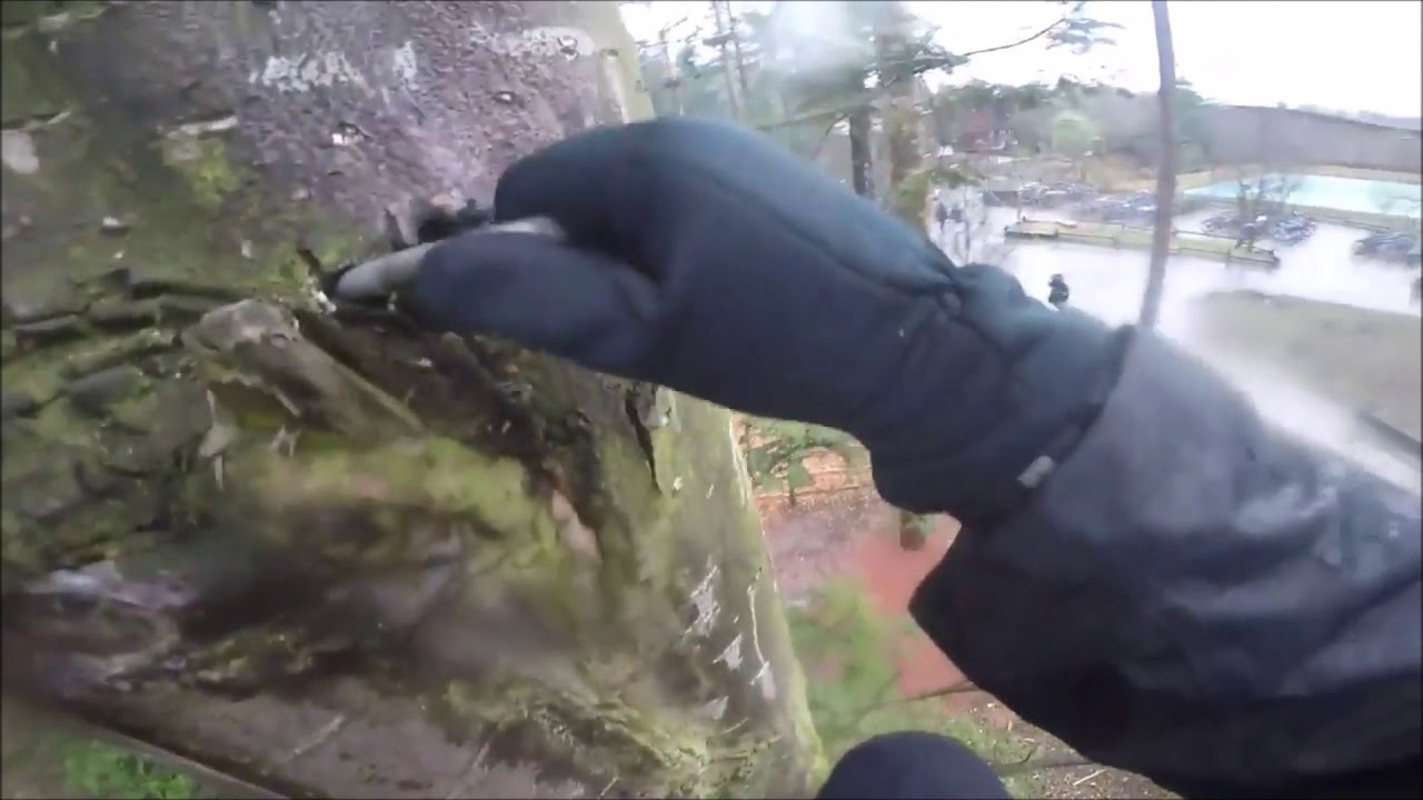 Center Parcs - Whinfell Forest - Tree Trek Part 3 - YouTube
