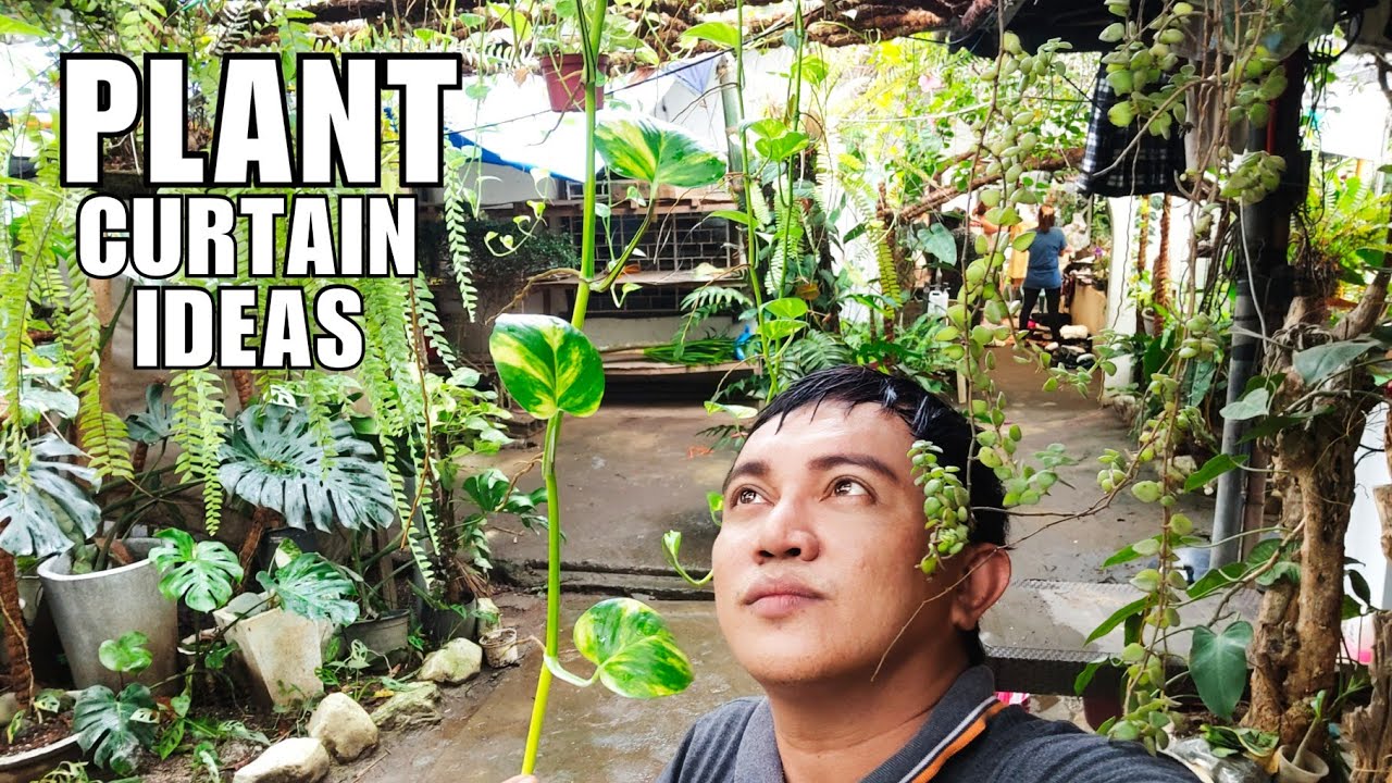 PLANT CURTAIN IDEAS - YouTube
