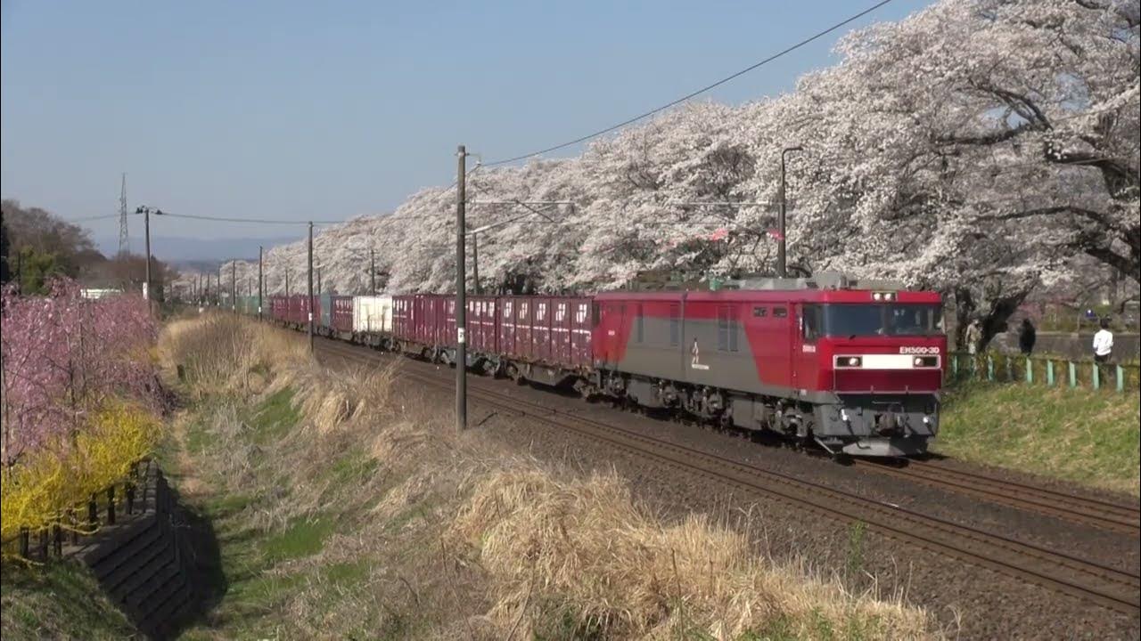 【JR貨】EH500-30牽引 高速貨物 3053レ (FHD) - YouTube