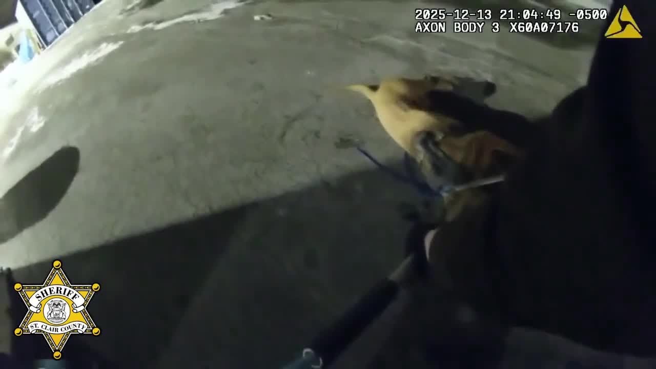 BODY CAMERA VIDEO: St. Clair County Sheriff's body camera video - YouTube
