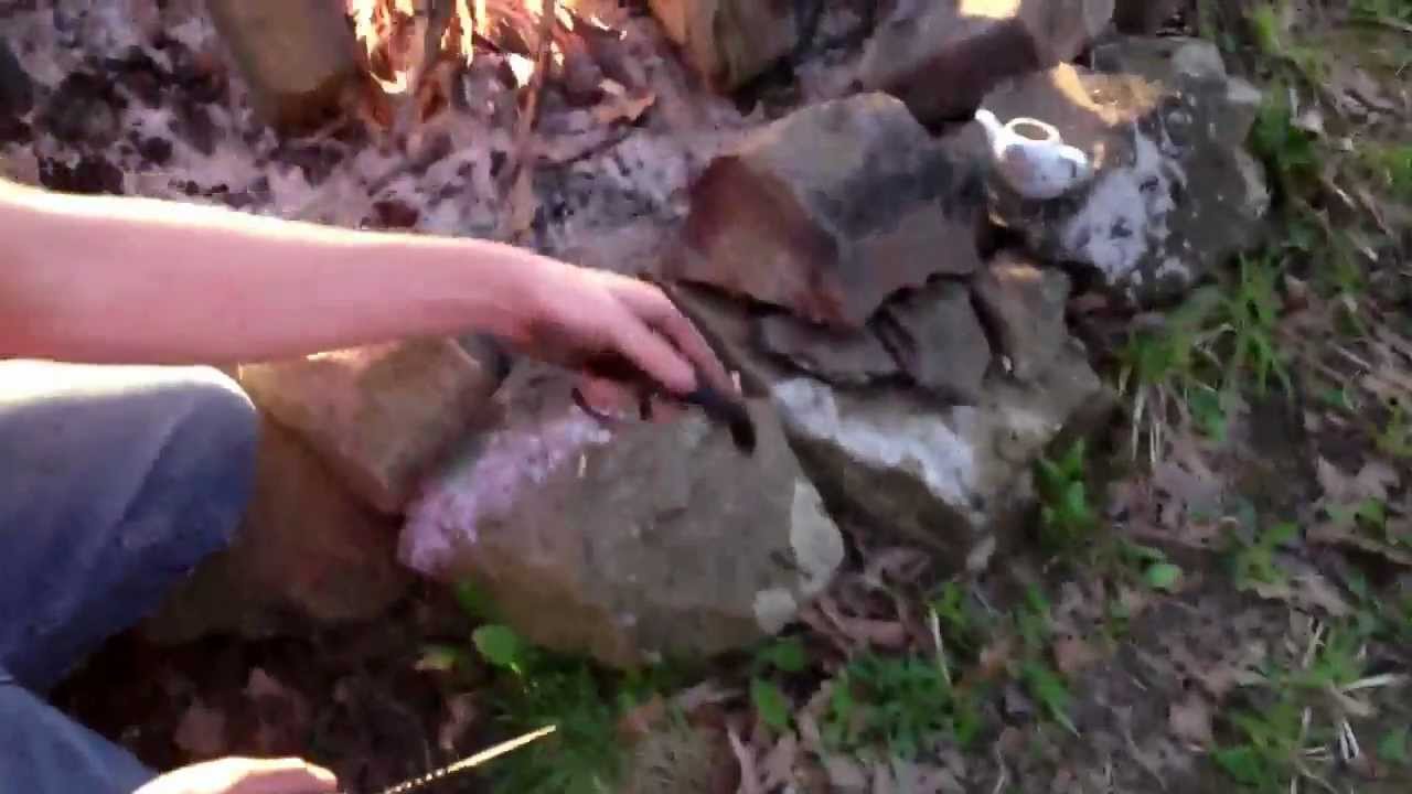 Newt cooking - YouTube