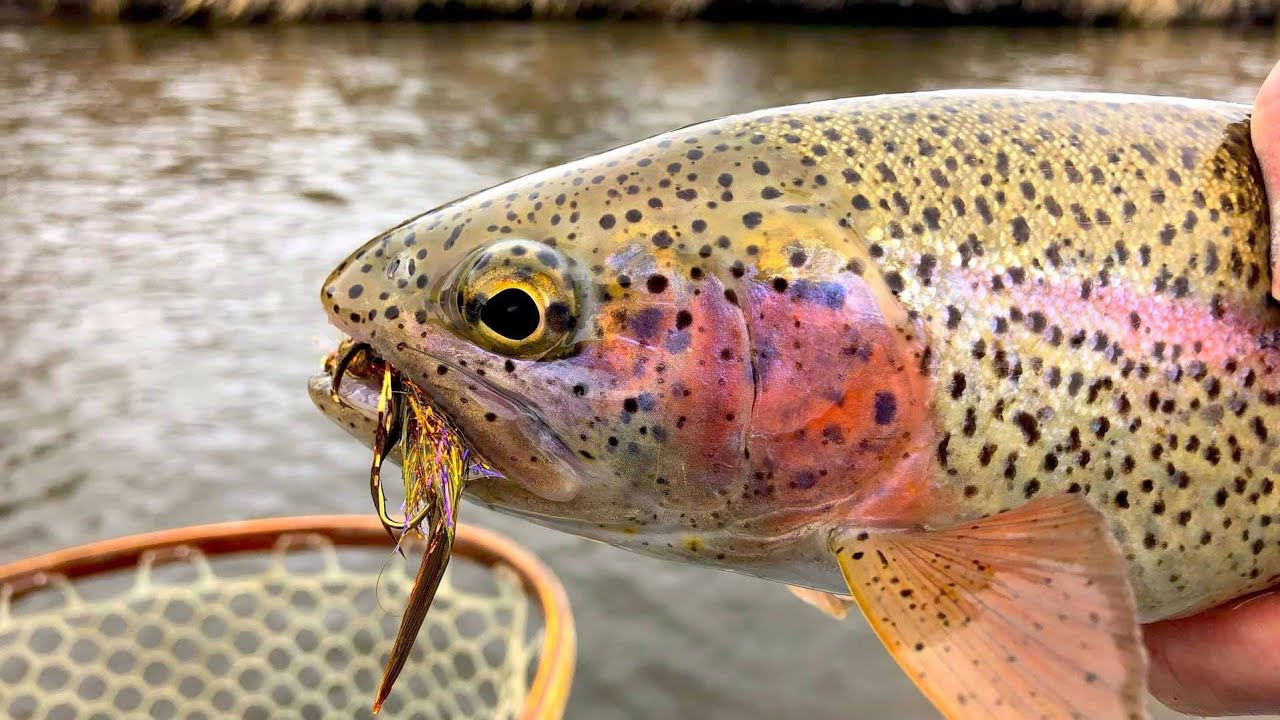 St. Joe Fishing Adventure | Day 1 - YouTube