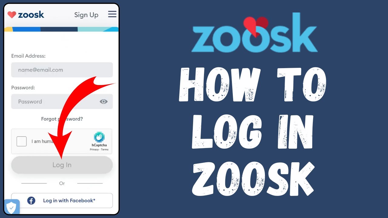 How to Login on Zoosk Account 2024 | Sign In to Zoosk Account - YouTube