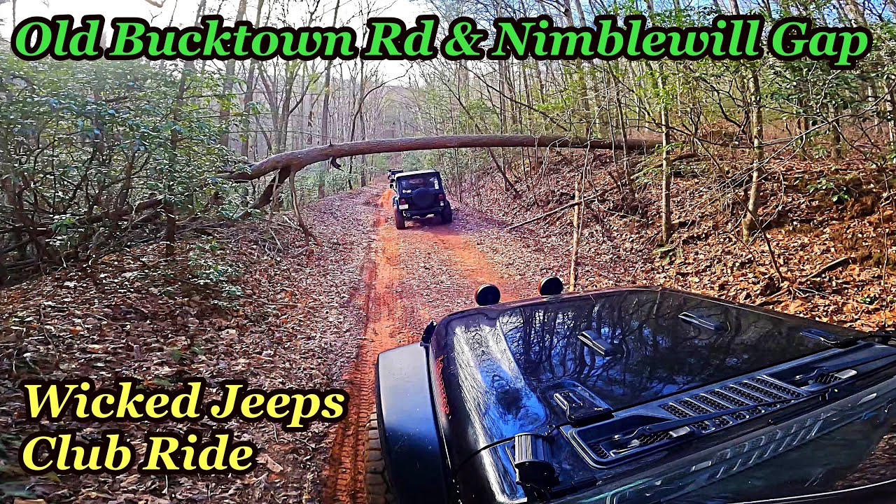 Old Bucktown rd and Nimblewill gap: North Georgia Mountains trail ride ...