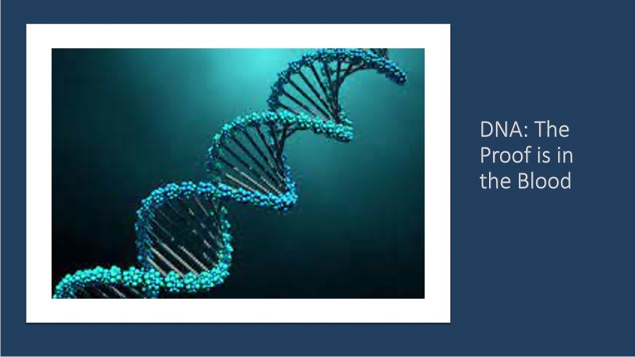DNA: The Proof is in the Blood - YouTube