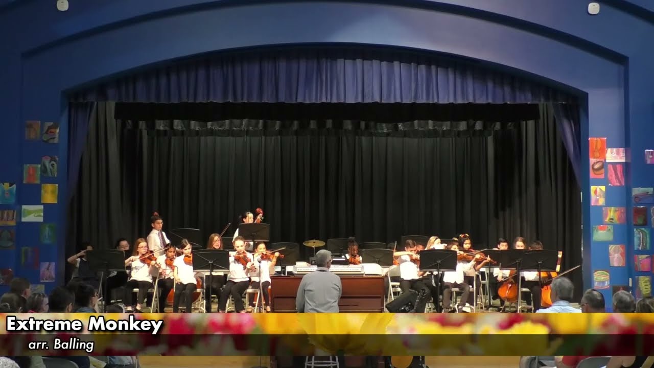 Ruth Chaffee Elementary School Spring Instrumental Concert 2025 - YouTube