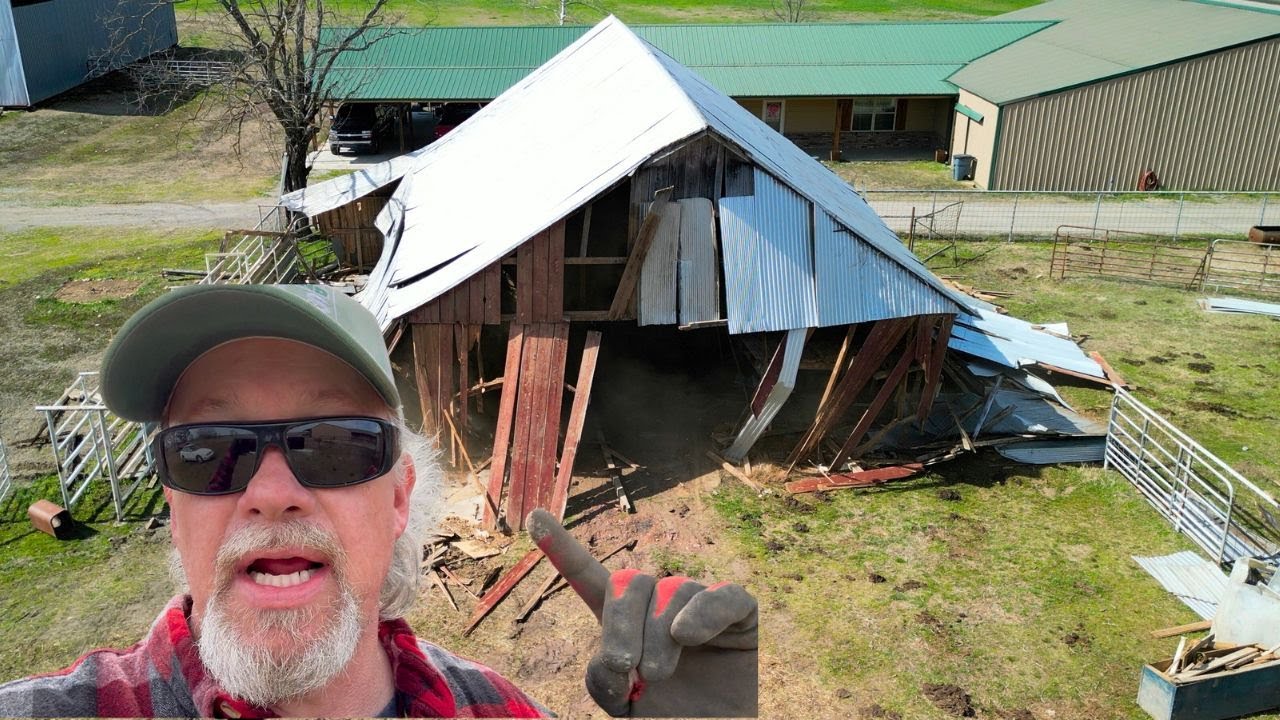 80 Year old MASSIVE BARN DESTRUCTION and salvaging as much barn wood as ...