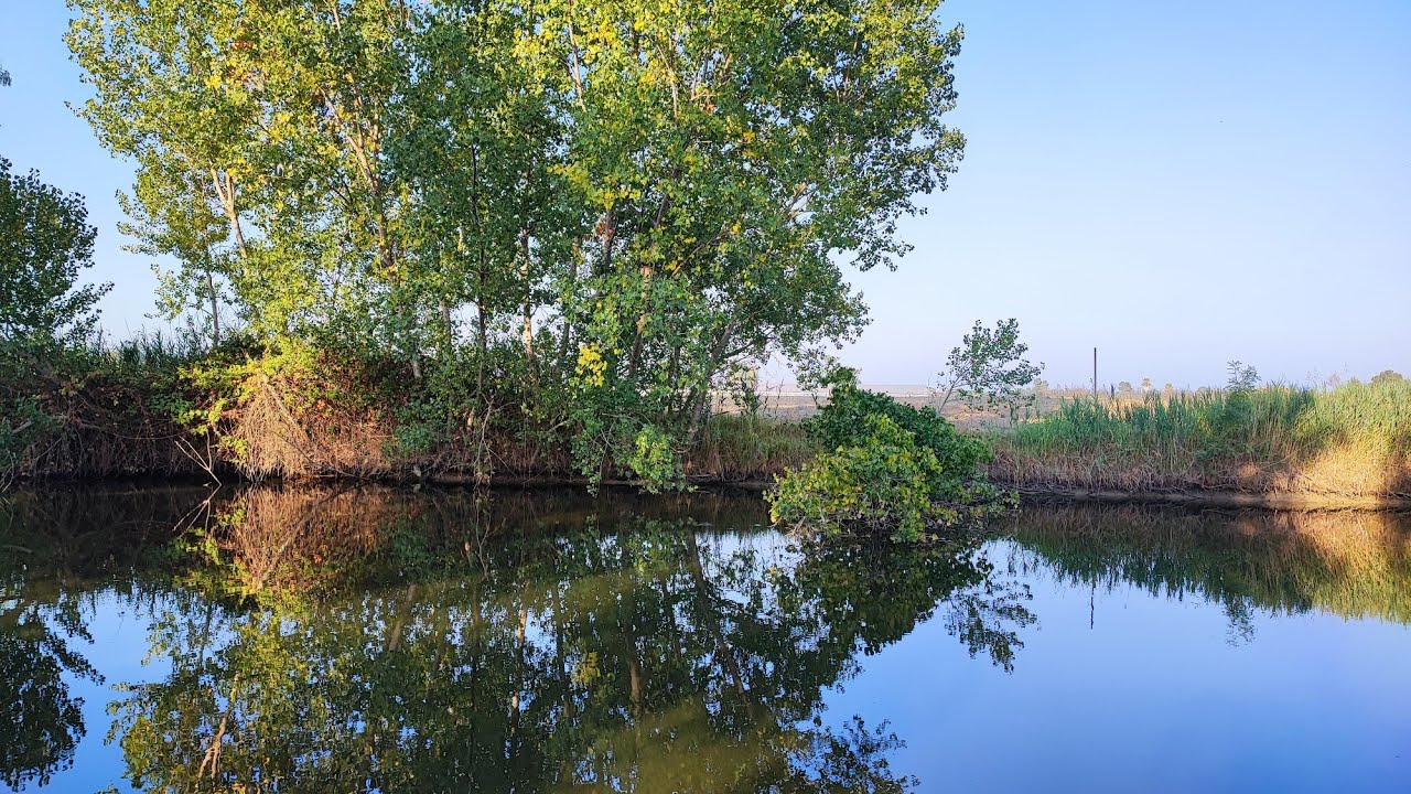 Fiume Sisto - YouTube