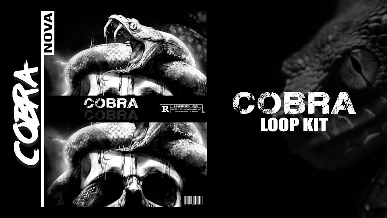 [FREE] DARK LOOP KIT / SAMPLE PACK - COBRA (FUTURE, SOUTHSIDE, NARDO ...
