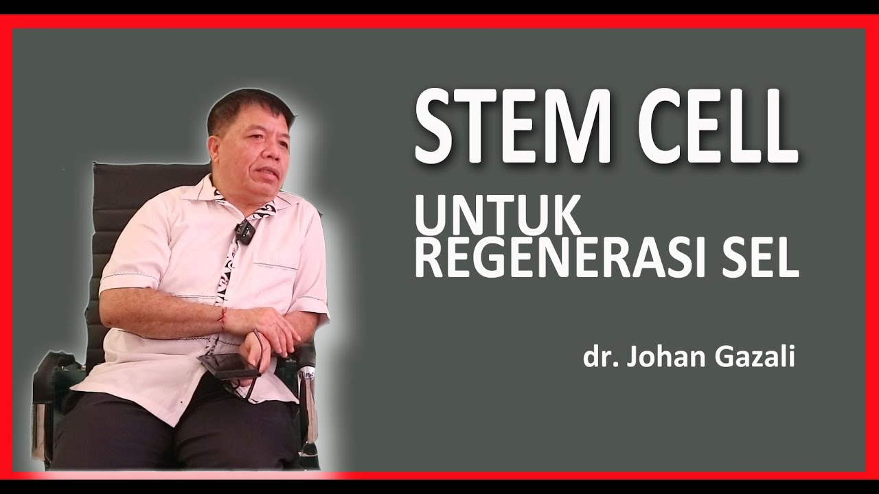 Johan Gazali: Untuk regenerasi sel dibutuhkan Stem Cell - YouTube