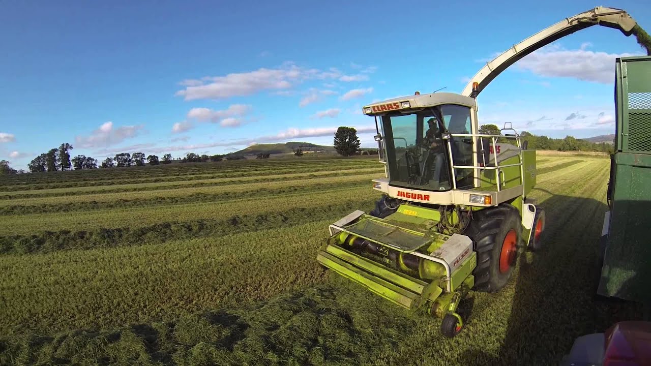 Class Forager - YouTube