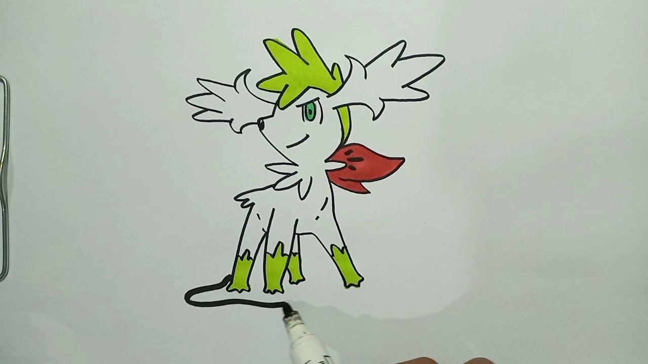 How to Draw Shaymin - Pokemon Species - YouTube